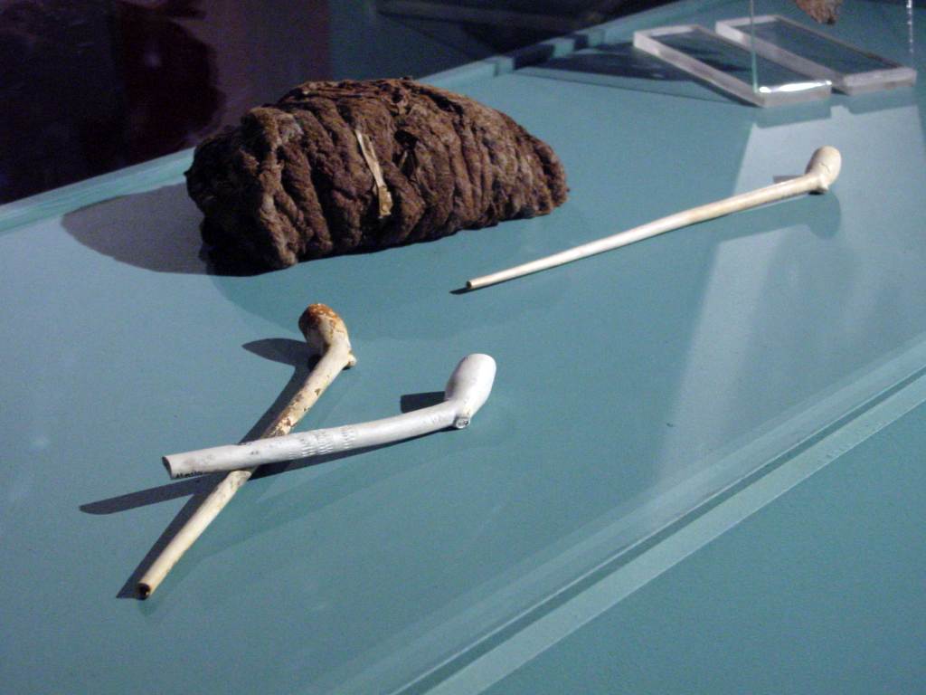 Kronan exhibit – The True Fork